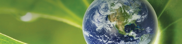 Celebrate Earth Day By Going Paperless | Woolley Home Solutions